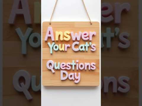 Cat Questionnaire