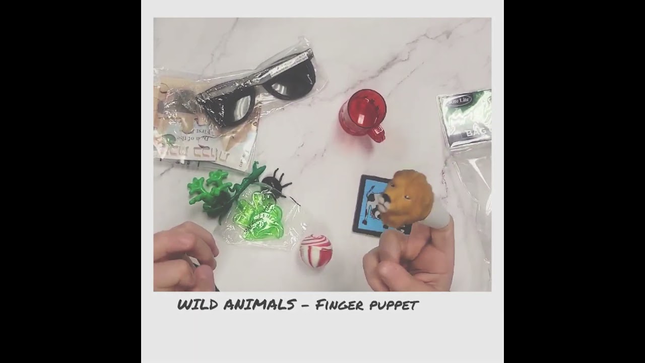 Passover Bag of Plagues