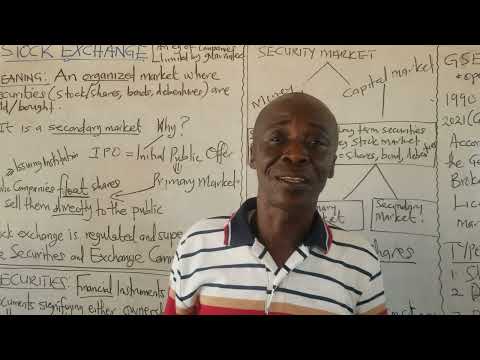 Stock Exchange: Meaning & Securities (meaning, types of security market, Type of securities)
