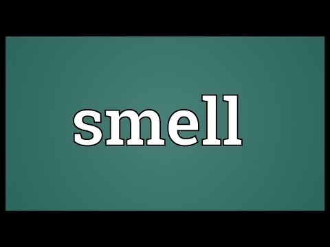 Smell Meaning
