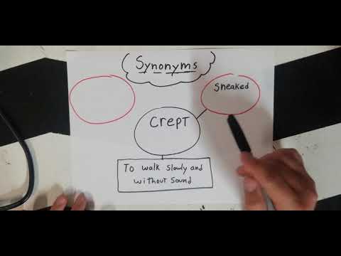 Synonyms