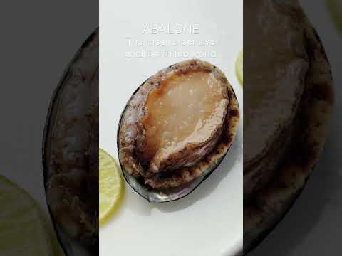 THE MOST EXPENSIVE SHELLFISH IN THE WORLD !! #shorts #abalone #seafood #food