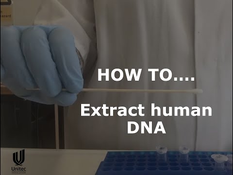 HOW TO... extract human DNA (buccal swab)
