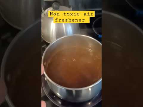 Got dogs? Non toxic air freshener!