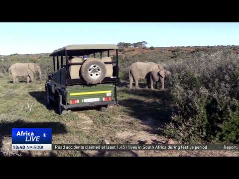 South Africa's tourism sector targets higher Chinese tourist numbers