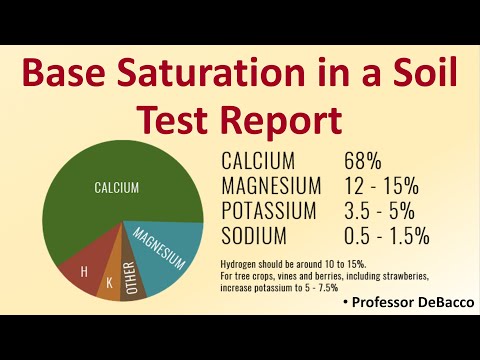 Base Saturation in a Soil Test Report