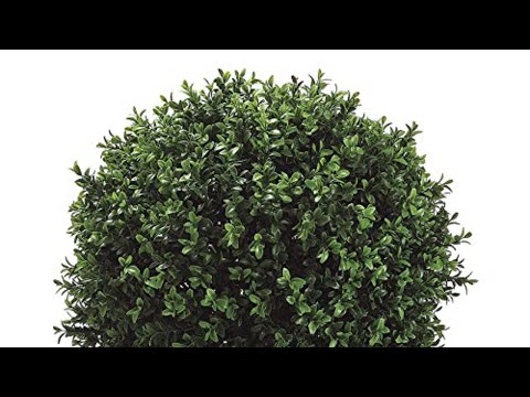 Top 10 Artificial Shrubs and Topiaries You Can Buy  October 2022