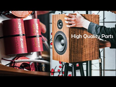 CSS Audio Criton 1TD-X w/ upgraded x-over 2022 - Custom Lace | Reverb