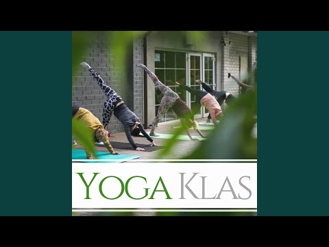 Yoga voor Beginners