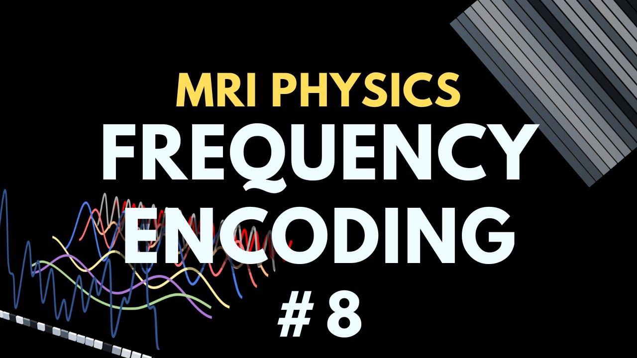 Understanding Frequency Encoding Gradient in MRI Signal Localisation ...