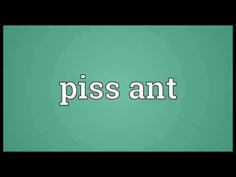 Piss ant Meaning