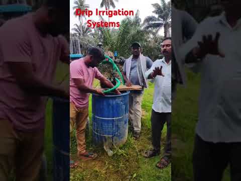 Drip Irrigation Systems, fertigastion proses