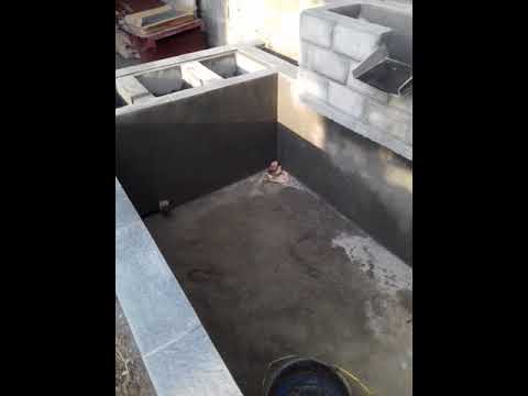 Pembutan kolam koi untuk pemula