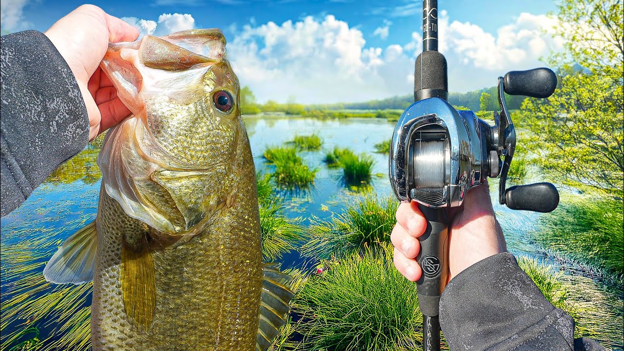 Hunting GIANT Pre-Spawn Bass On The Lake - I Found Them