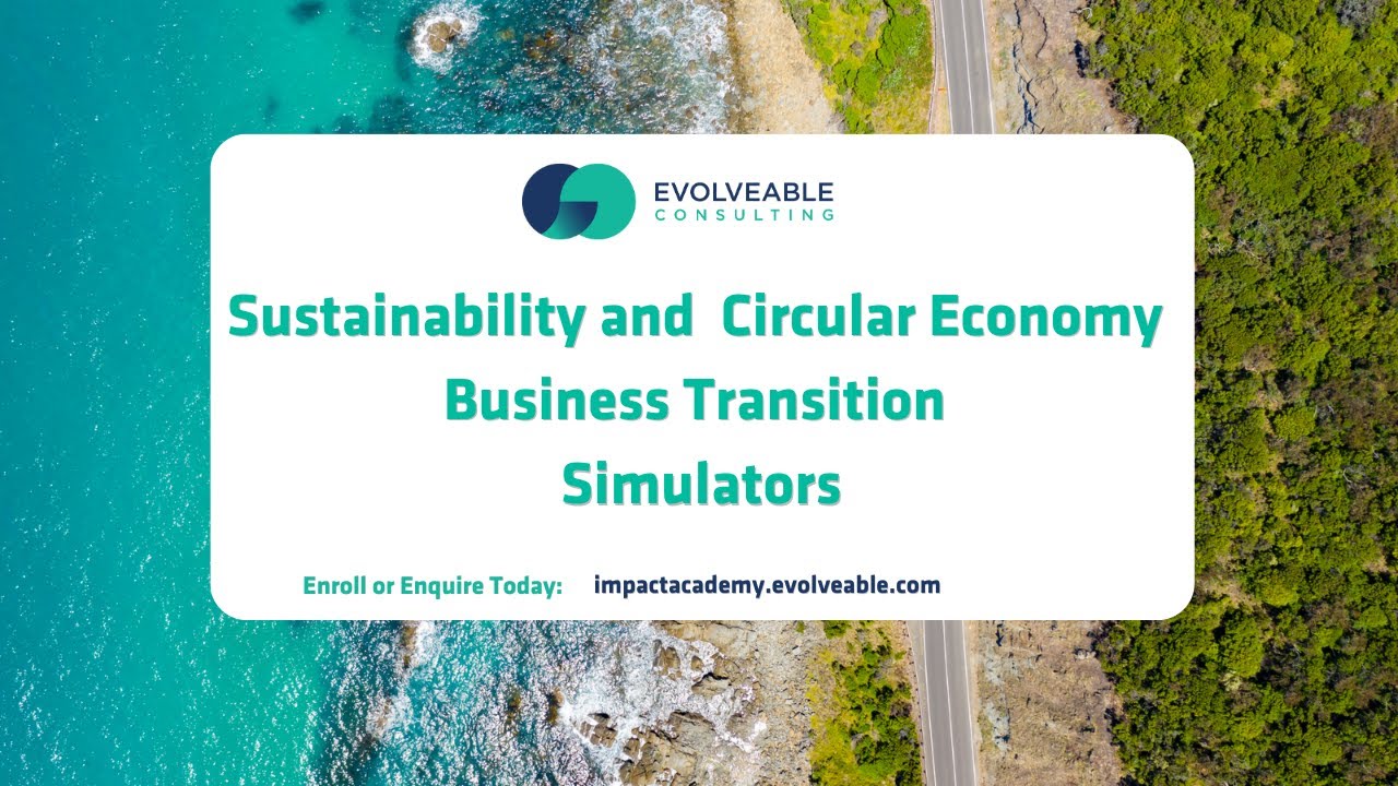Sustainability and Circular Economy Business Transition Simulators