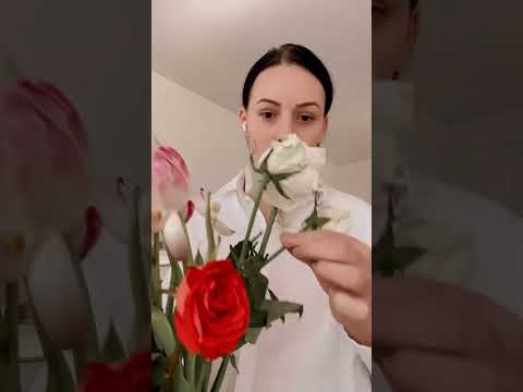 De ce mi se ofilesc florile așa repede?! 😭 ! #Plante #Flori #Ajutor #Comentarii #YouTubeRomania