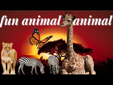Discover the fascinating world of animals