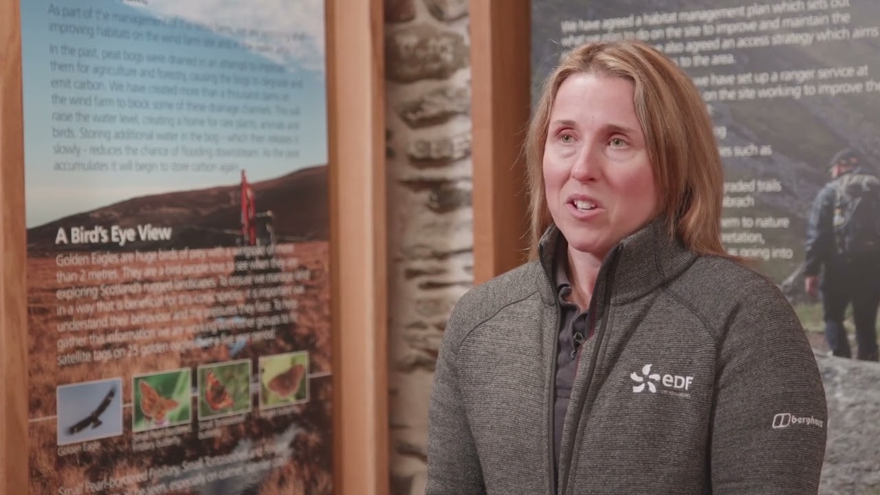 Michelle shares how renewable energy developments can enhance biodiversity and the environment