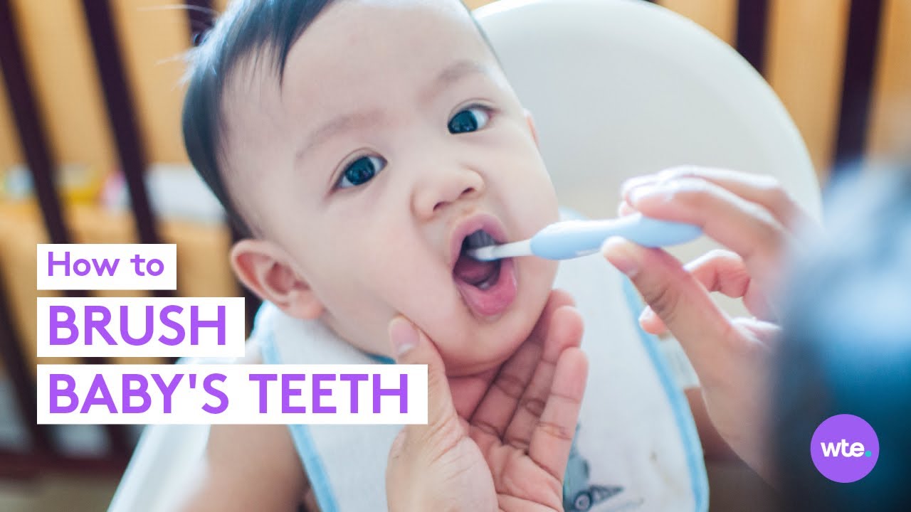 How to Brush Your Baby's Teeth - What to Expect