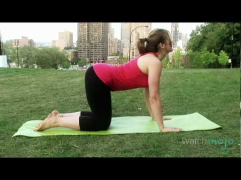 Secrets For A Healthy Lifestyle: Exercise