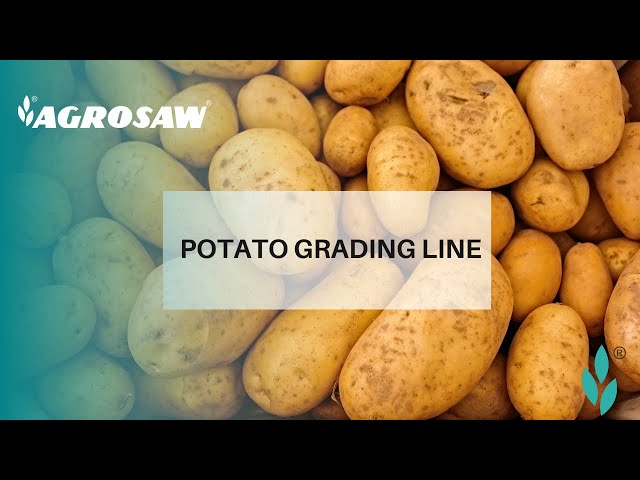 Fruits & Vegetables Sorting - Apple Grading Machine Manufacturer from ...