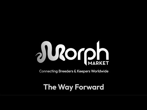 The Way Forward - MorphMarket News - MorphMarket Reptile Community