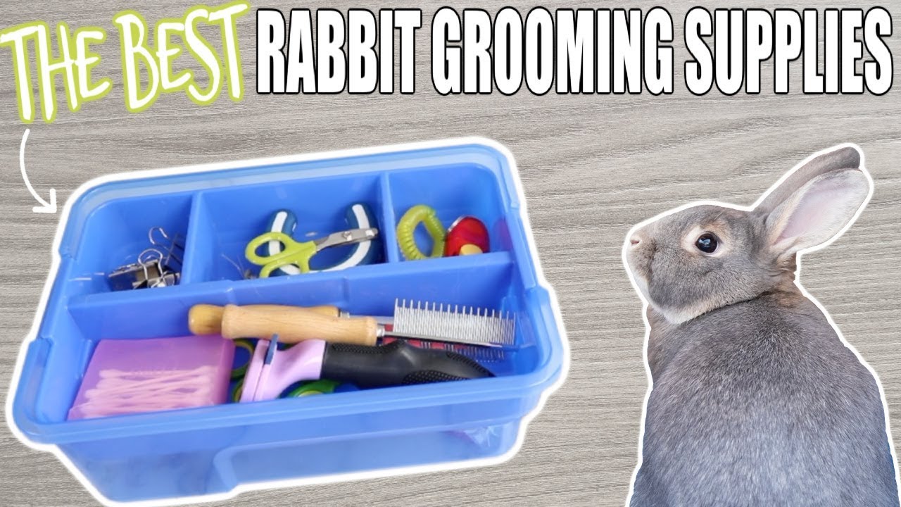 THE BEST RABBIT GROOMING SUPPLIES!