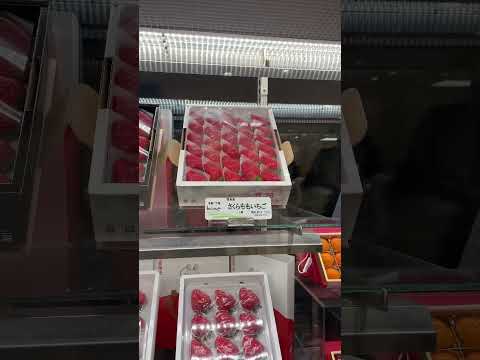 Only the rich can afford Strawberries ๐ in Japan ๐ฑ How much are you willing to pay? #shorts