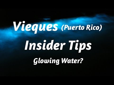 🌟Vieques Travel Guide | Puerto Rico Vacation🌟