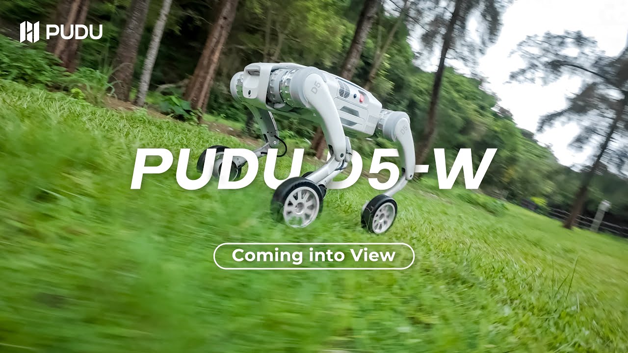 PUDU D5-W: Coming into View
