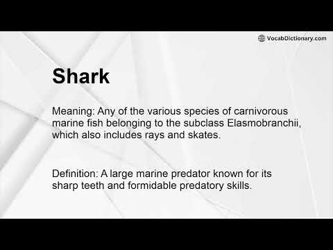 Shark Meaning