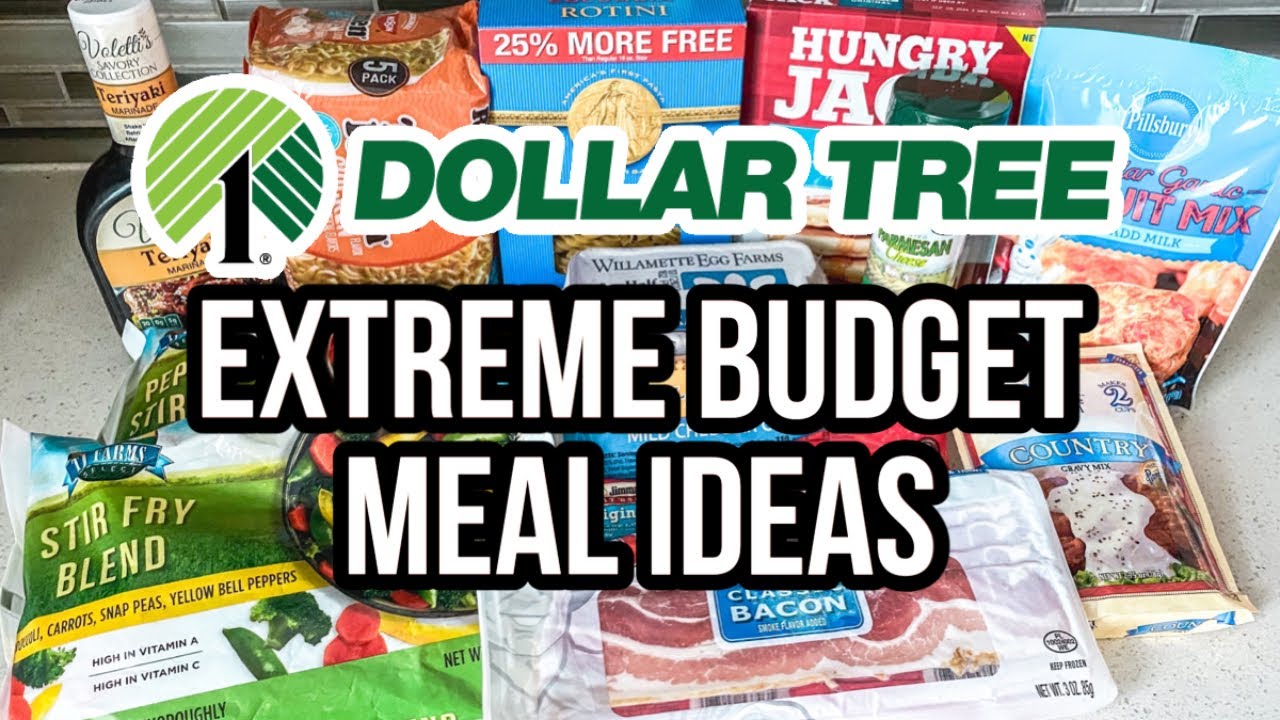 EXTREME BUDGET MEALS DOLLAR TREE | Dollar Tree 5 Ingredient Dinners