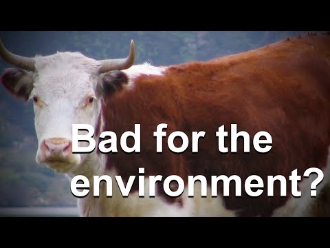 Do Cow Farts Really Significantly Contribute to Global Warming?