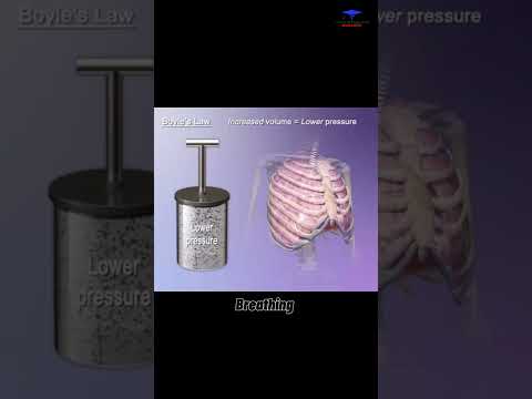 Breathing ( Boyle's law ) medical explanation // #breathing