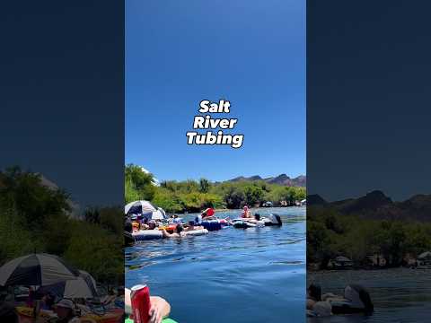 Salt River Tubing in Mesa, Arizona #shorts #summervibes #river #arizona