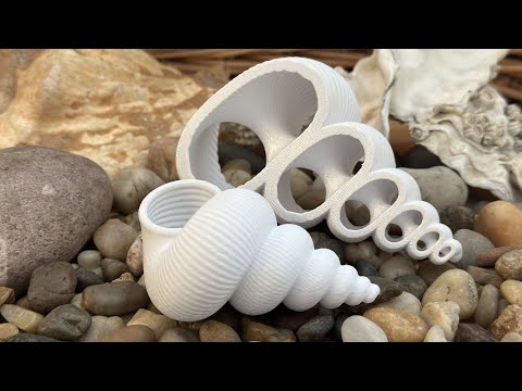 Free 3D file Plain Seashell for Remixing 🌊・Model to download and 3D ...