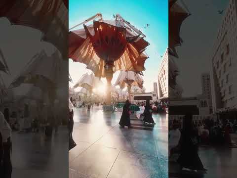 EVERY MUSLIM'S Heart is in π #yahussain #arbaeen #azadar #majlis #muharram #karbala #shia #yaali