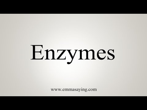 How To Say Enzymes