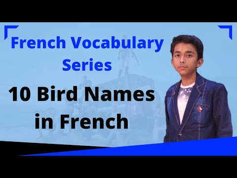 10 Birds Names in French || French Vocabulary Series || Speak French For Beginners #French