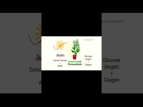 Empirical formula of Photosynthesis. #biology #ncert #science .