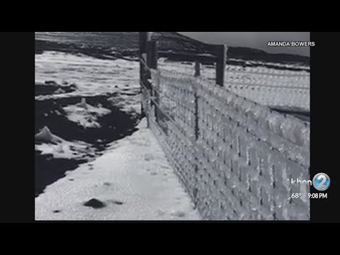 cold temps in hawaii