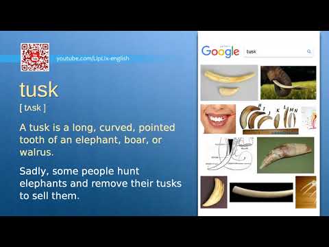 Tusk : C1 level english vocabulary lesson, www.LipLix.com