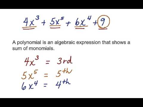 Polynomials in Standard Form | CK-12 Foundation