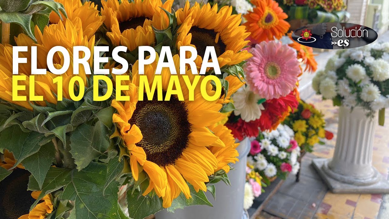 Flores, el regalo para mamá que nunca pasa de moda | #Soluciones