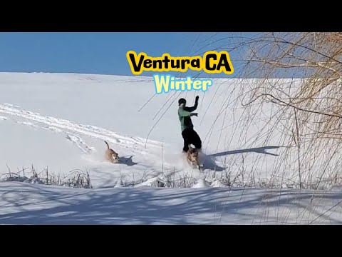 Living in Ventura California, Fantastic lifestyle