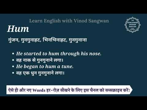 Hum, meaning in Hindi