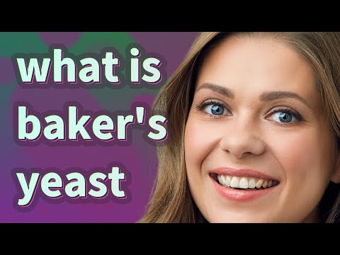 Baker's yeast | meaning of Baker's yeast
