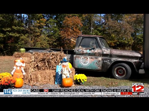 Our Town: Murray County