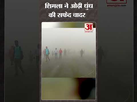 धुंध की सफेद चादर से ढका Shimla, Himachal Pradesh में तीन दिन भारी बारिश का अलर्ट | Weather Update