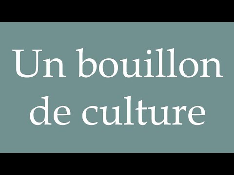 How to Pronounce ''Un bouillon de culture'' (A breeding ground) Correctly in French